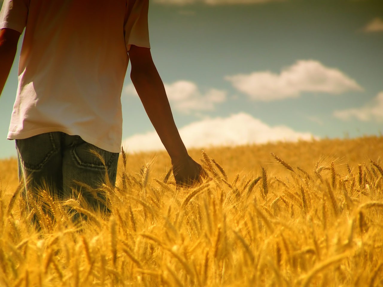 Startseite - eComradeGroup