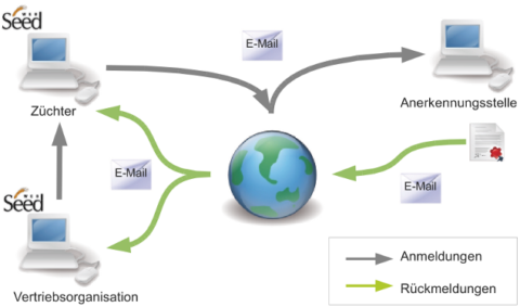 WebSeed - eComradeGroup